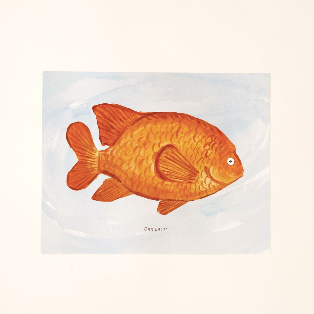 Garibaldi California State Fish Art Print Wall Decor Painting - Etsy