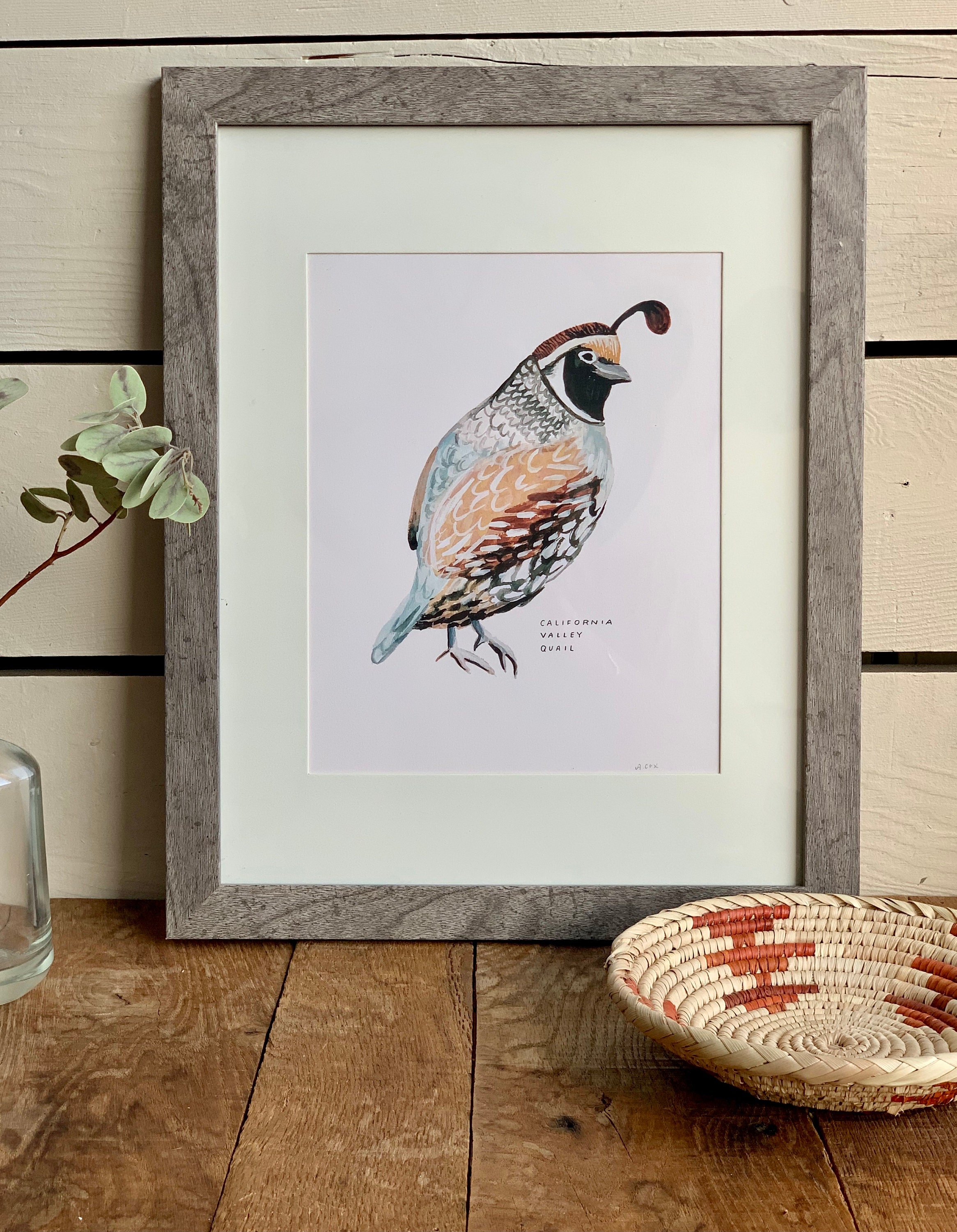 California Valley Quail State Bird Art Print Wall Decor | Etsy