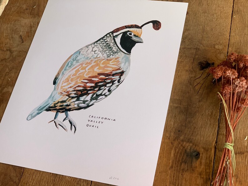 California Valley Quail State Bird Art Print Wall Decor | Etsy