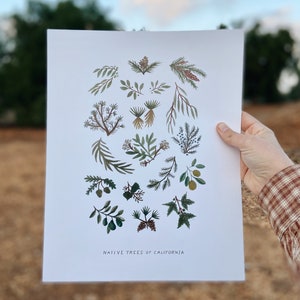 Native California Trees Handmade Painting Art Print Wall Decor - Etsy
