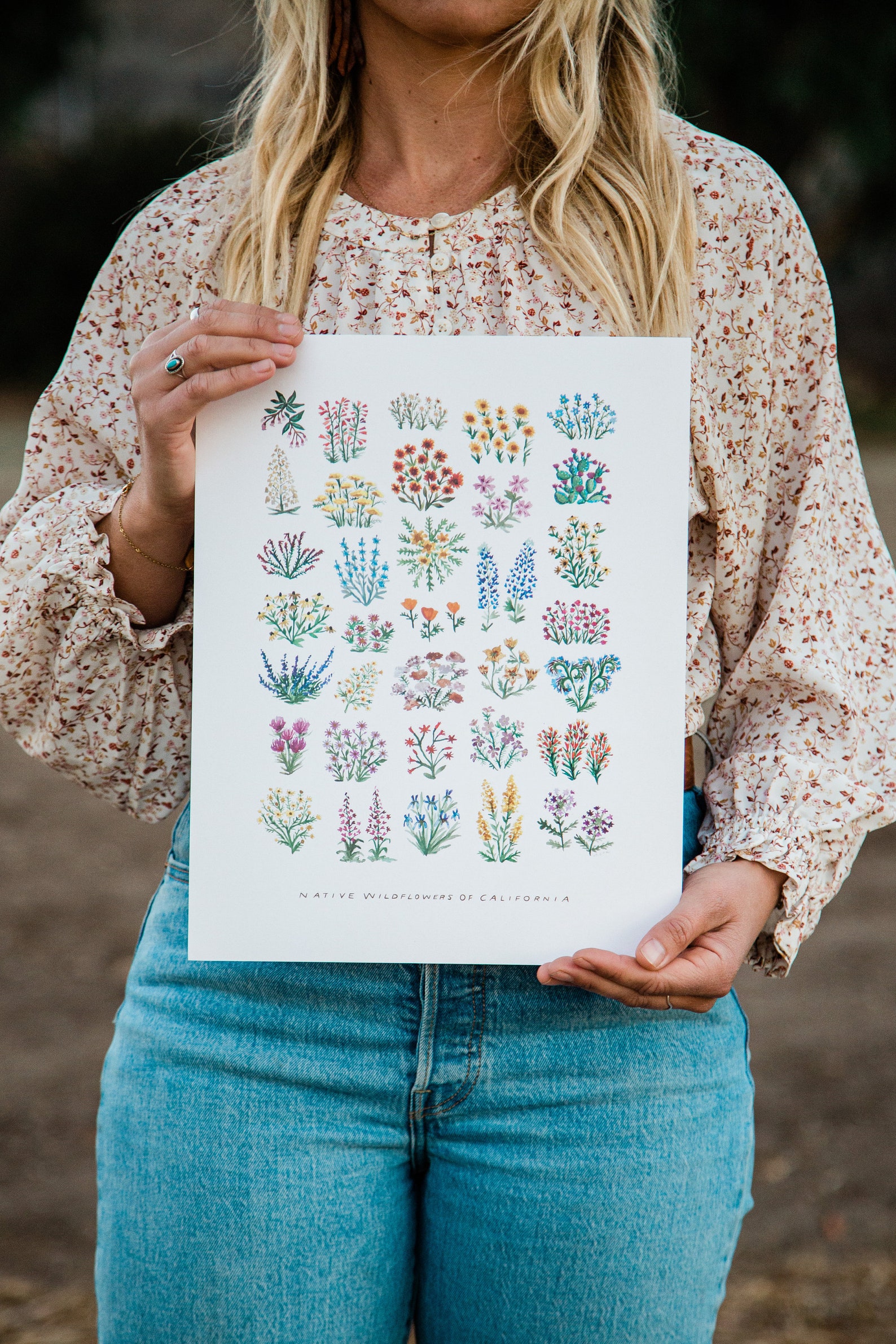 California Native Wildflowers Art Print Painting Wall Decor - Etsy
