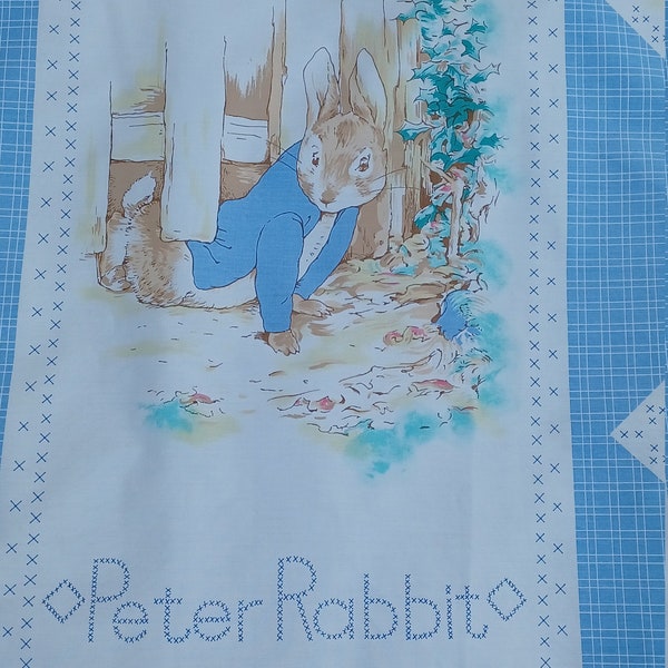 Beatrix Potter Cross Stitch - Etsy