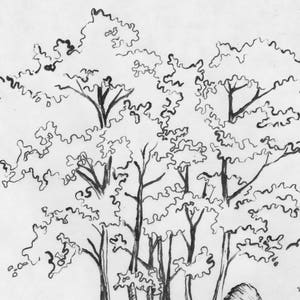 Cat's Nature. Graphic Ink Drawing "cat's Nature", Graphic Art Design ...