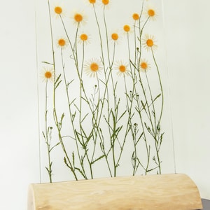 Wedding Gifts for Couple Lamp Modern Daisies LED Epoxy Resin Lamps for ...