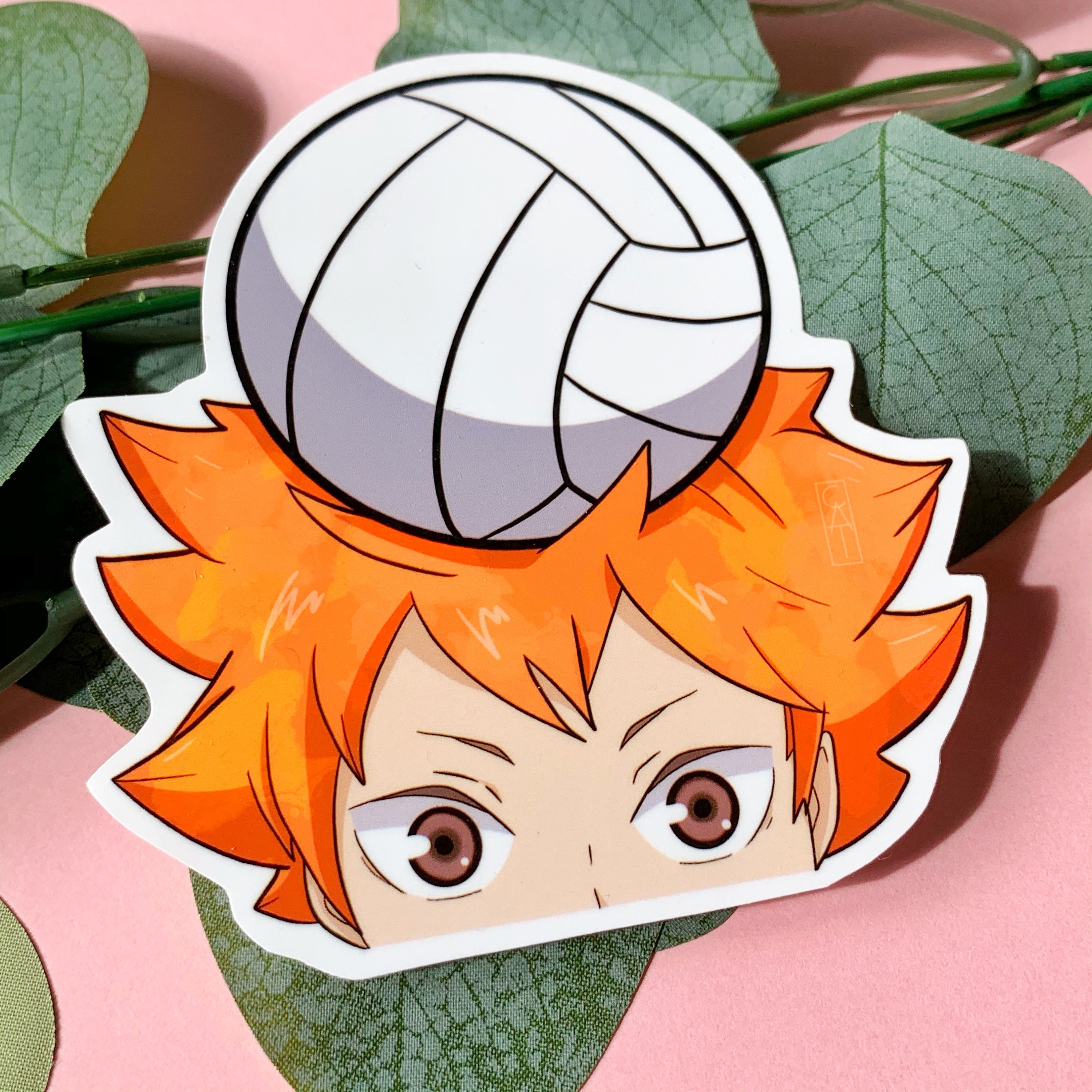 Hinata Shoyo Haikyuu Peeker Sticker Anime Sticker Water | Etsy