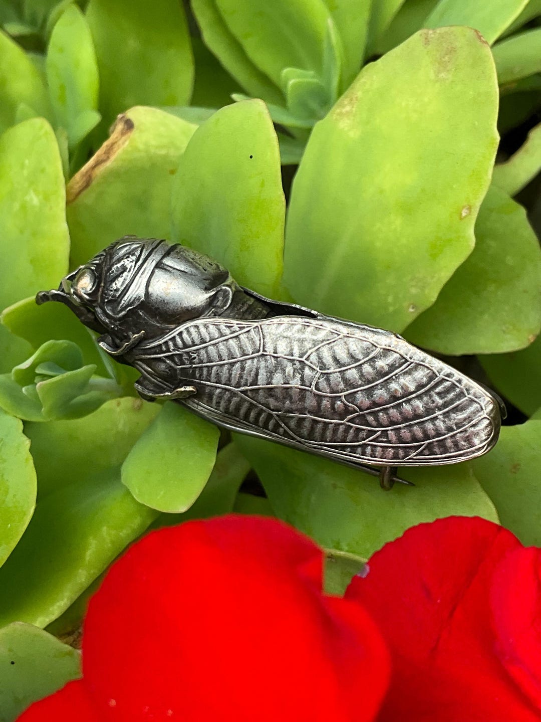 Art Nouveau French Lucky Cicada With Thorax Pin Brooch, Silver Plate - Etsy