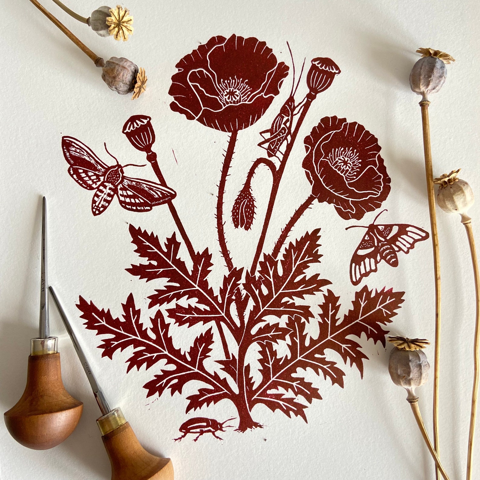 Original Handprinted Linocut Lino Print Fine Art Poppy Corn Poppy - Etsy