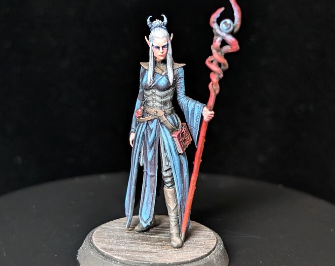 A Female Elf Wizard Sorcerer Mage Hand Painted Miniature for Tabletop ...