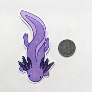 Axolotl Stickers Individual Rainbow Stickers - Etsy