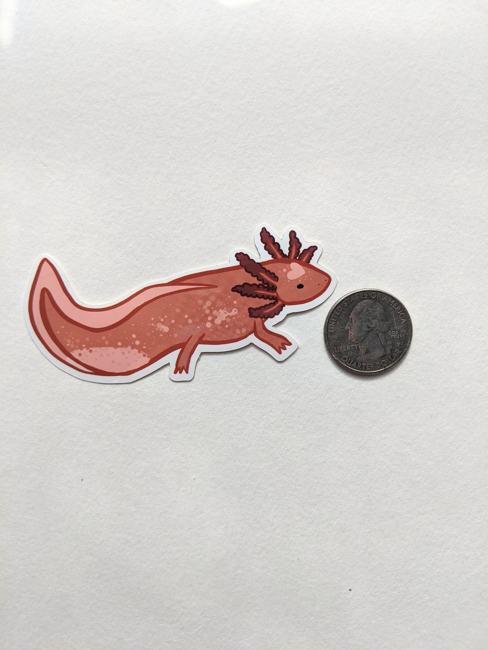 Axolotl Stickers Individual Rainbow Stickers - Etsy