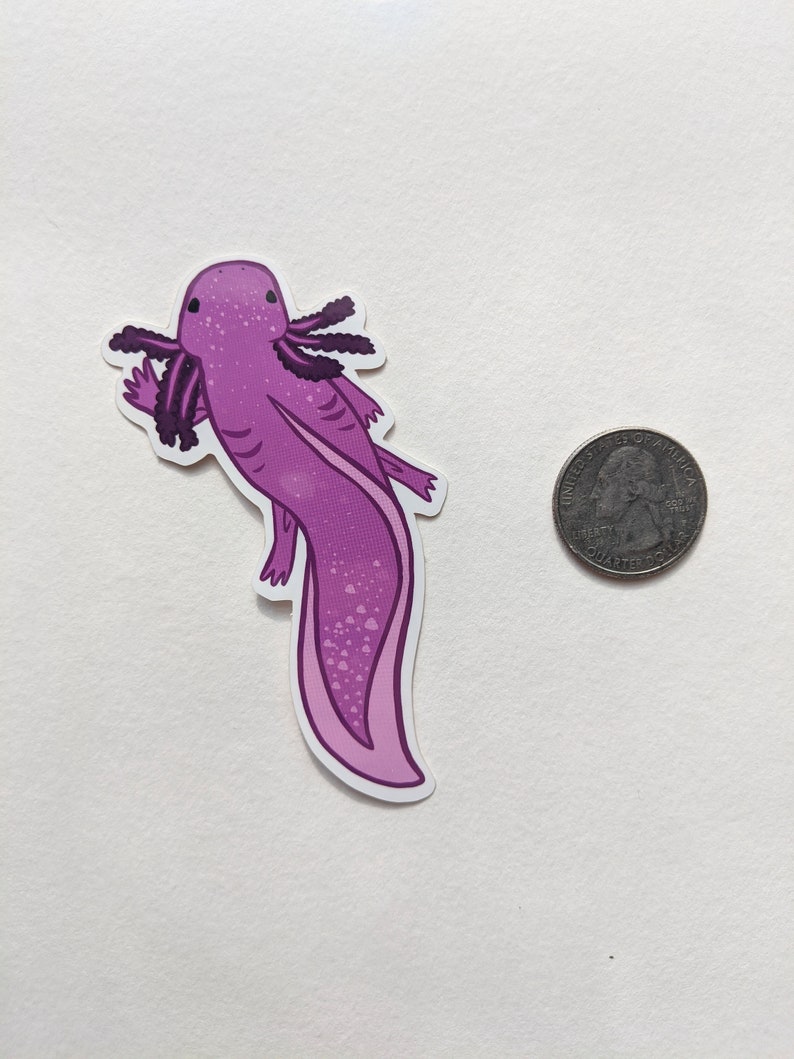 Axolotl Stickers - Individual Rainbow Stickers - Etsy
