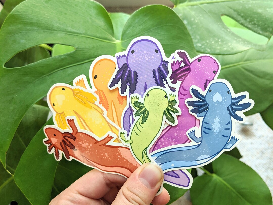 Axolotl Stickers - Individual Rainbow Stickers - Etsy