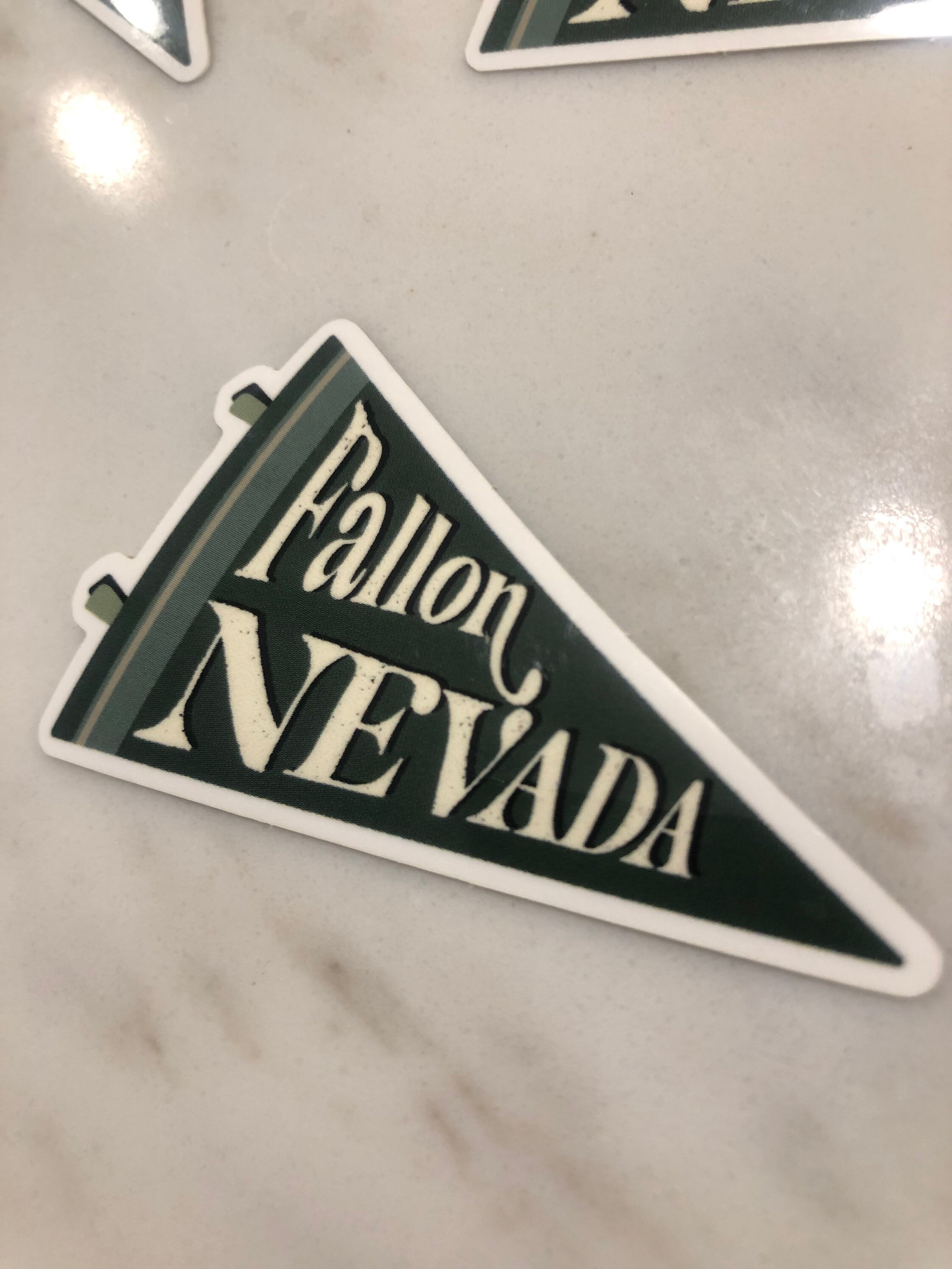 Fallon Nevada Sticker Pennant Sticker Greenwave Fallon | Etsy