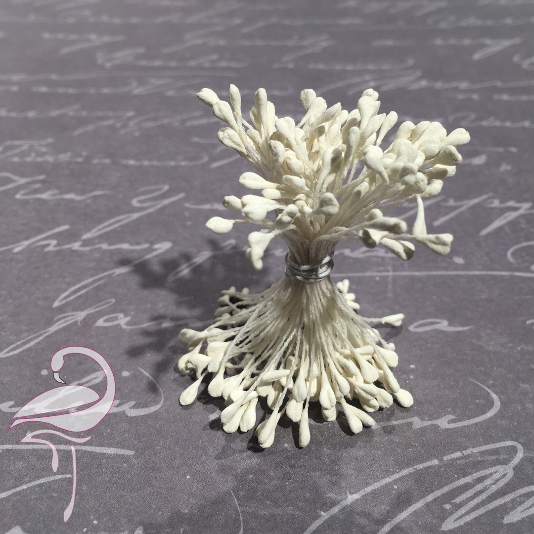 Stamens Matt Heart 3mm Ivory - Pack of 100 - Etsy