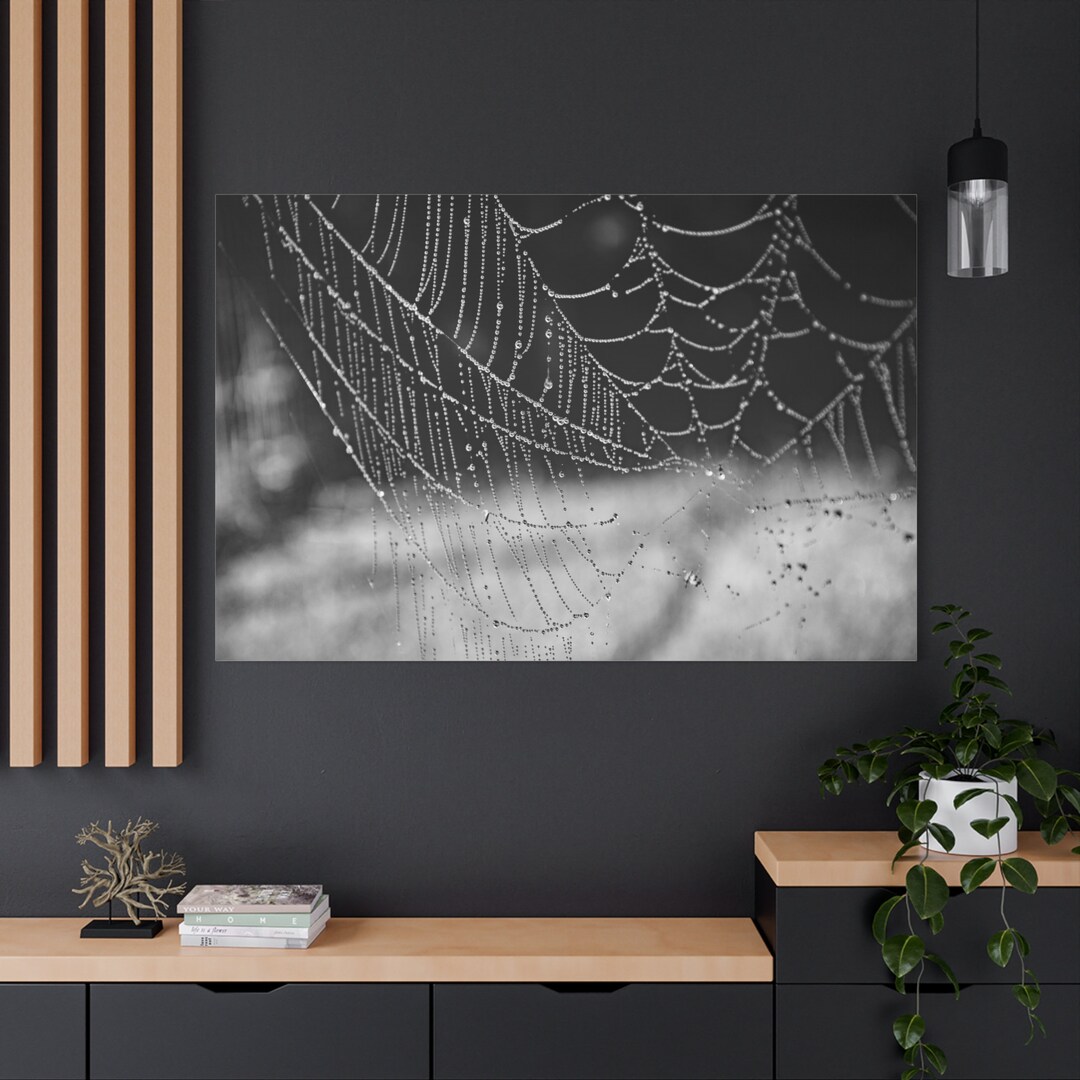 Spider Web Dew Monochrome Canvas Print VARIOUS SIZES - Etsy UK