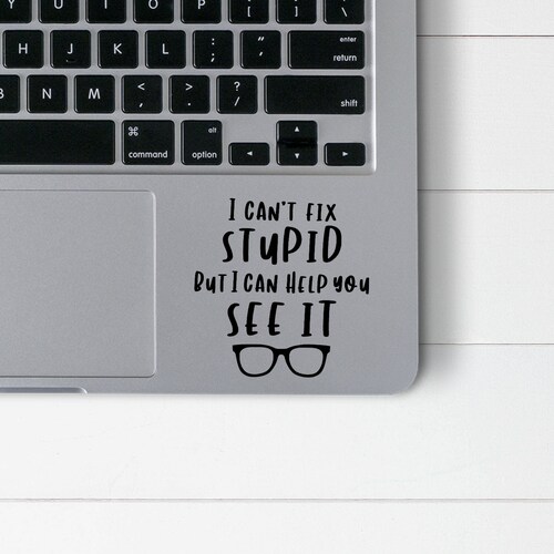 I Can't Fix Stupid but I Can Help You See It Vinyl Decal | Etsy