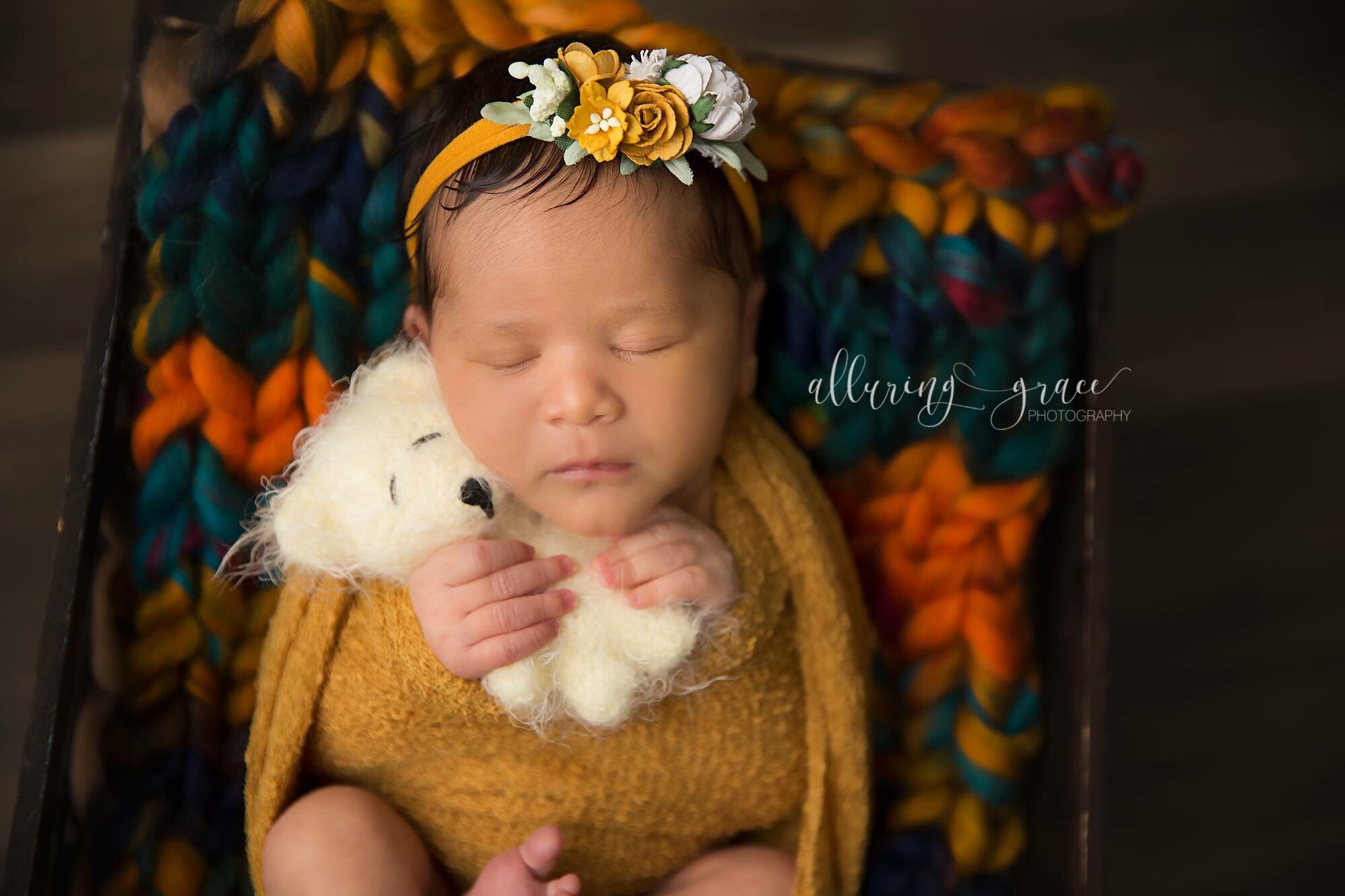 Tiny Teddies! Small Fuzzy Teddy Bear, Photo Prop in Multiple Colors - Etsy