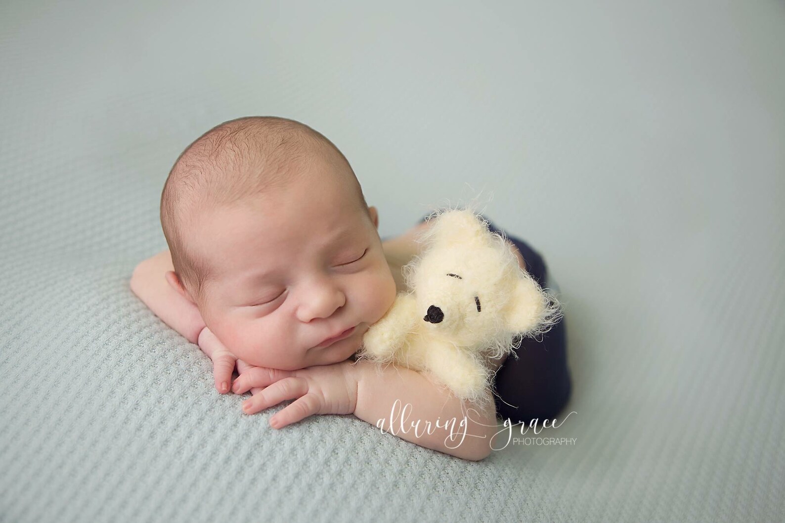 Tiny Teddies! Small Fuzzy Teddy Bear, Photo Prop in Multiple Colors - Etsy