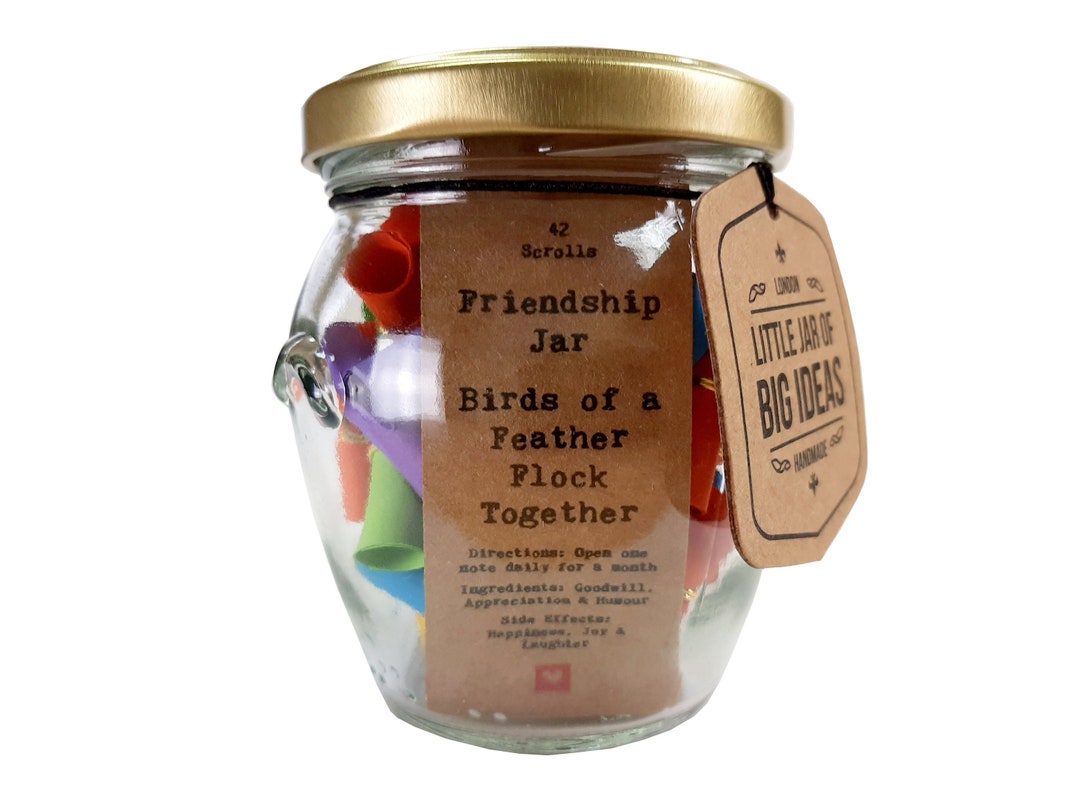 Friendship Jar - Birds of a Feather Flock Together - Thoughtful Gift ...