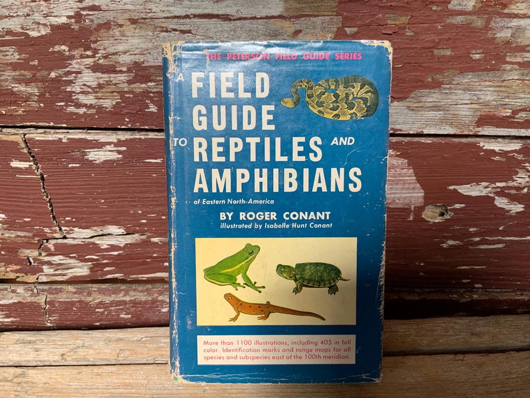 1958 Field Guide to Reptiles and Amphibians 1100 Illustrations Range ...