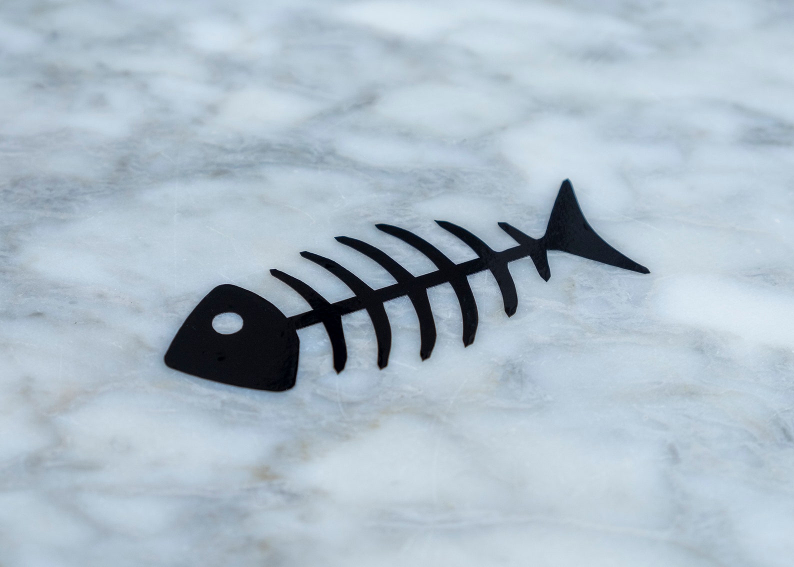 Fish Bone Vinyl Sticker / Black Fish Bone Vinyl Decal / Fish | Etsy