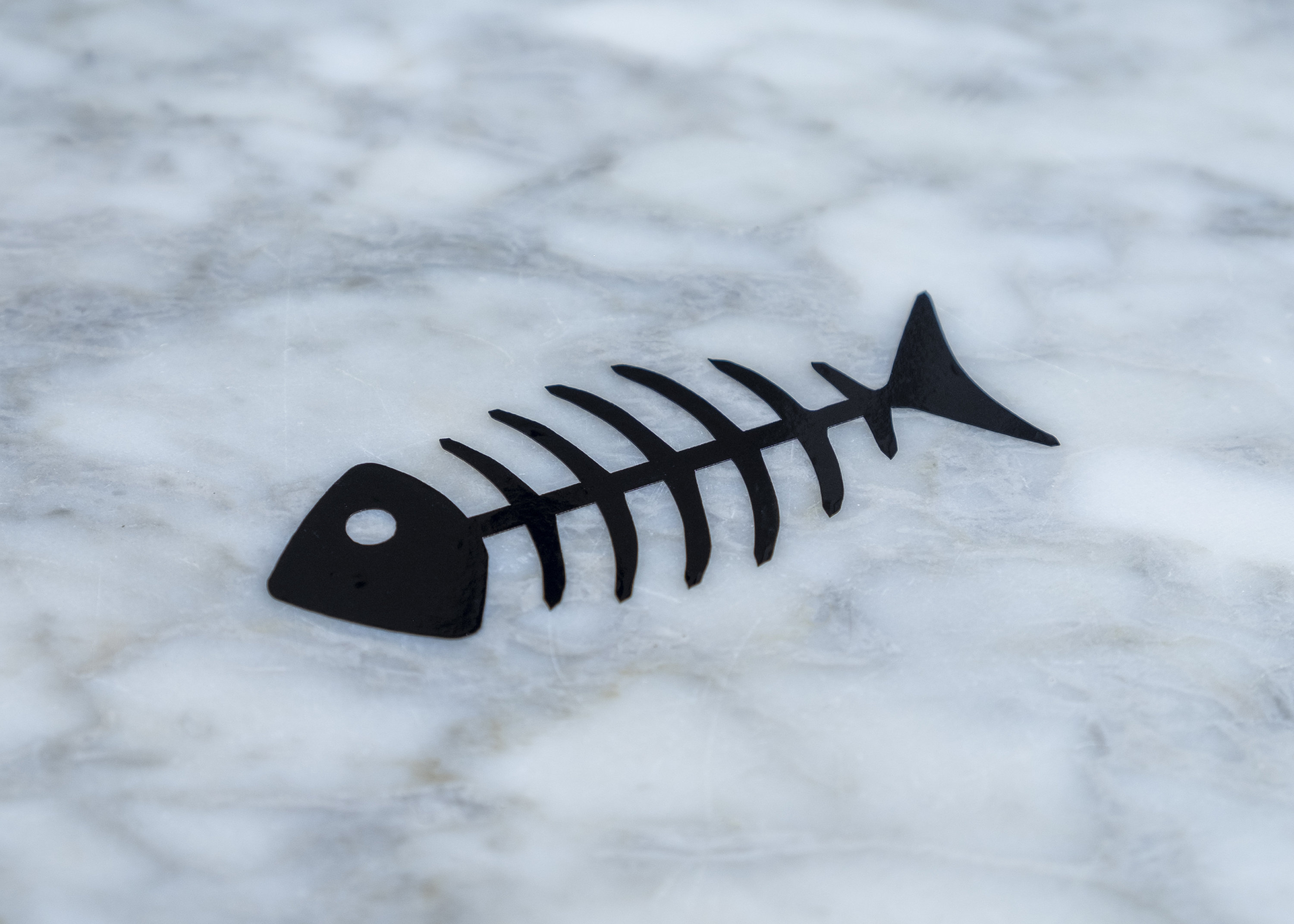 Fish Bone Vinyl Sticker / Black Fish Bone Vinyl Decal / Fish | Etsy