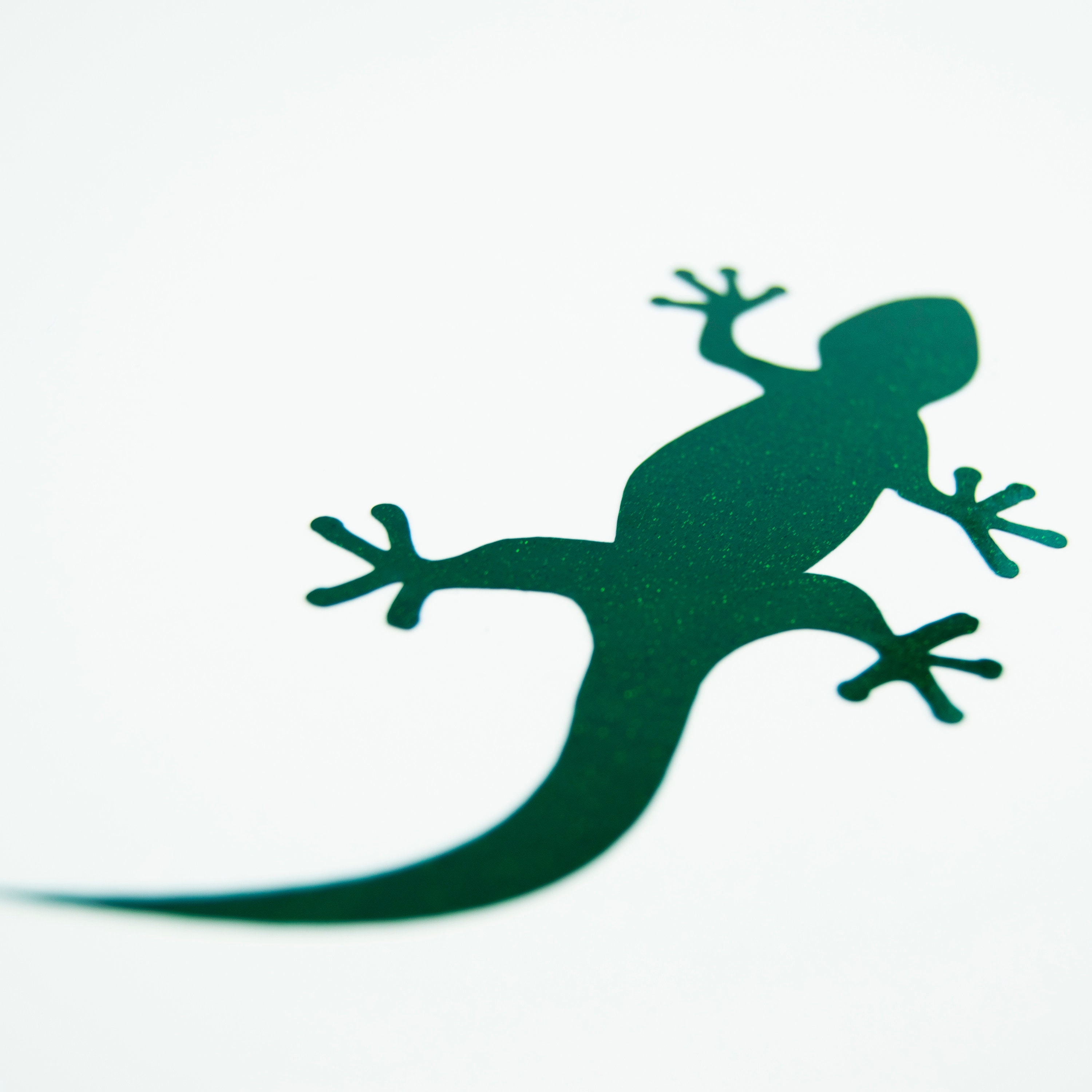 Lizard Vinyl Decal. Reptile Vinyl Sticker in - Etsy UK