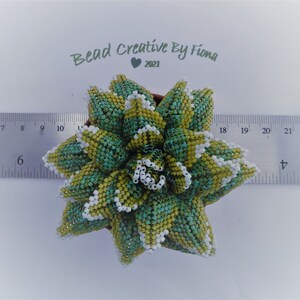 Beaded Succulents Sewing Pattern - Seed Bead Tutorial (PDF) - Etsy