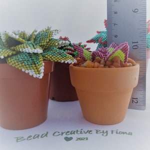 Beaded Succulents Sewing Pattern - Seed Bead Tutorial (PDF) - Etsy