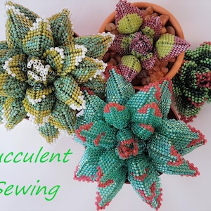 Beaded Succulents Sewing Pattern - Seed Bead Tutorial (PDF) - Etsy