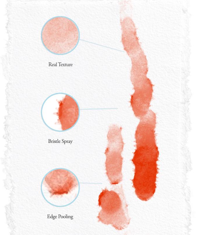 Realistic Watercolor Procreate Brushes - 25 Watercolour Texture Brushes ...