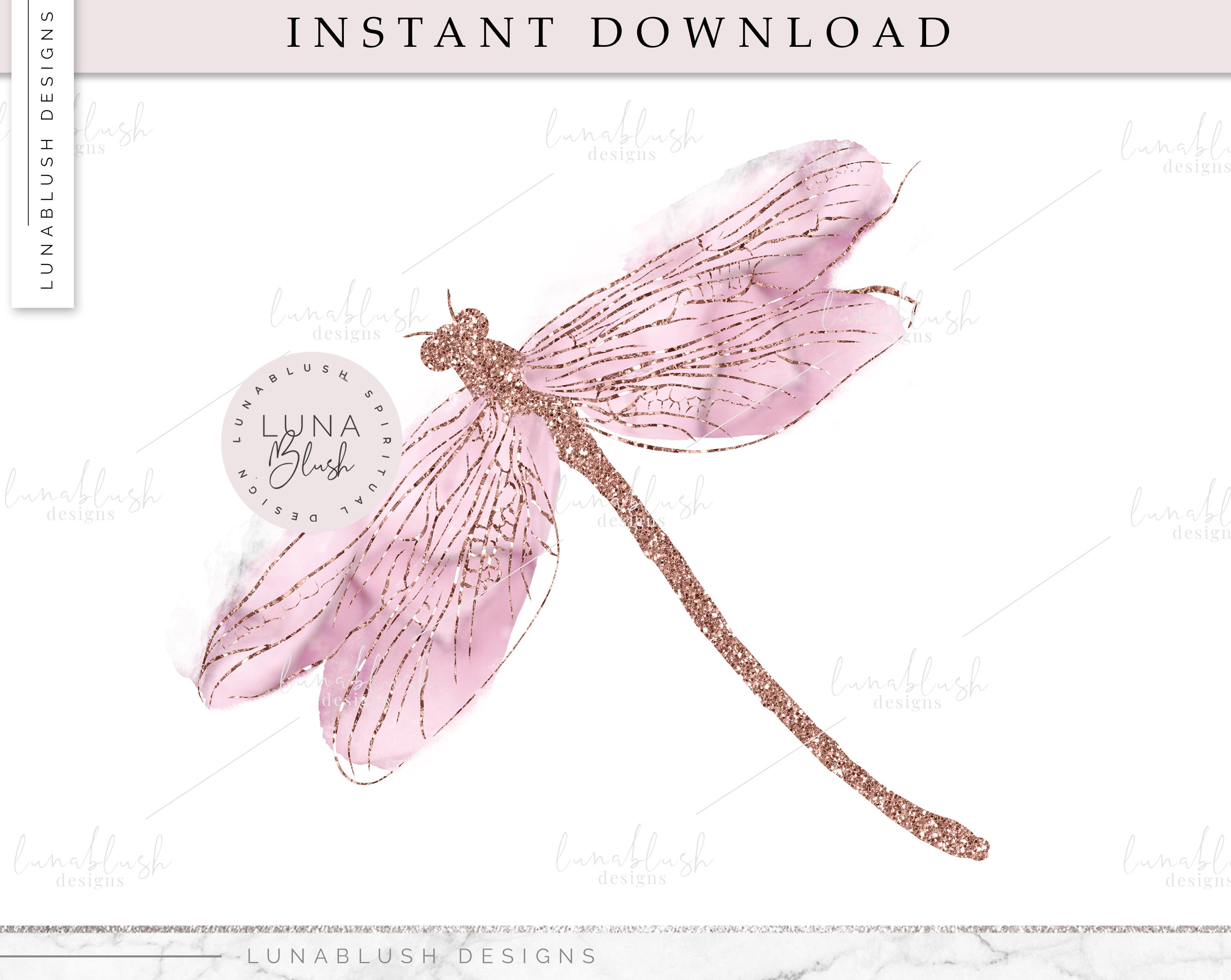 Dragonfly Clipart Free Download