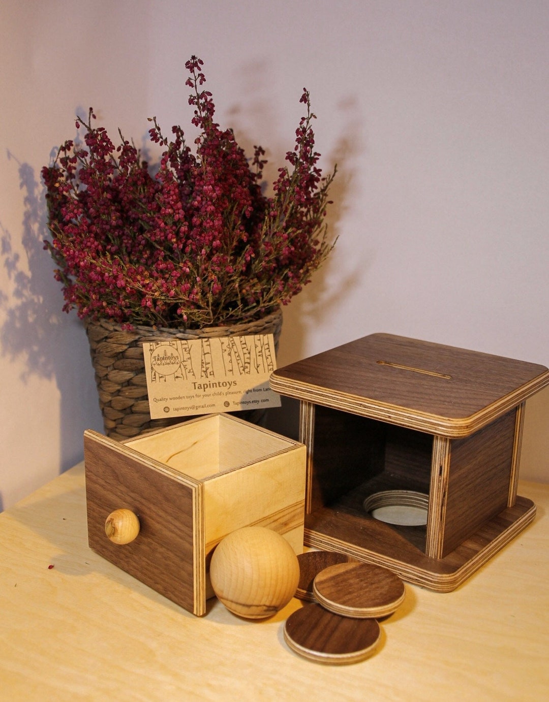 Montessori Infant Imbucare Box Ball and Coin 2in1 Montessori Baby ...