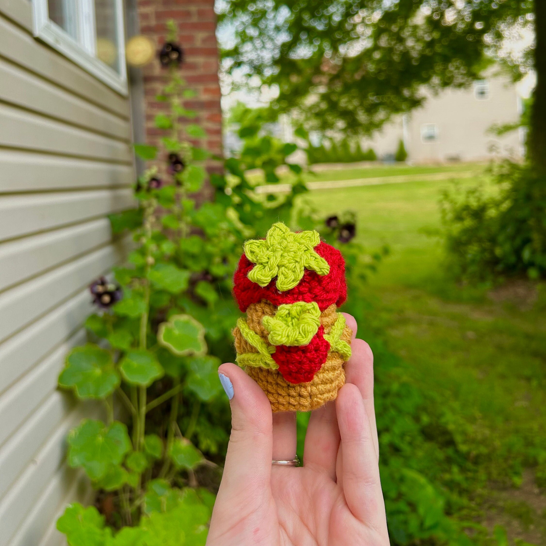 Crochet Strawberry Capybara - Etsy
