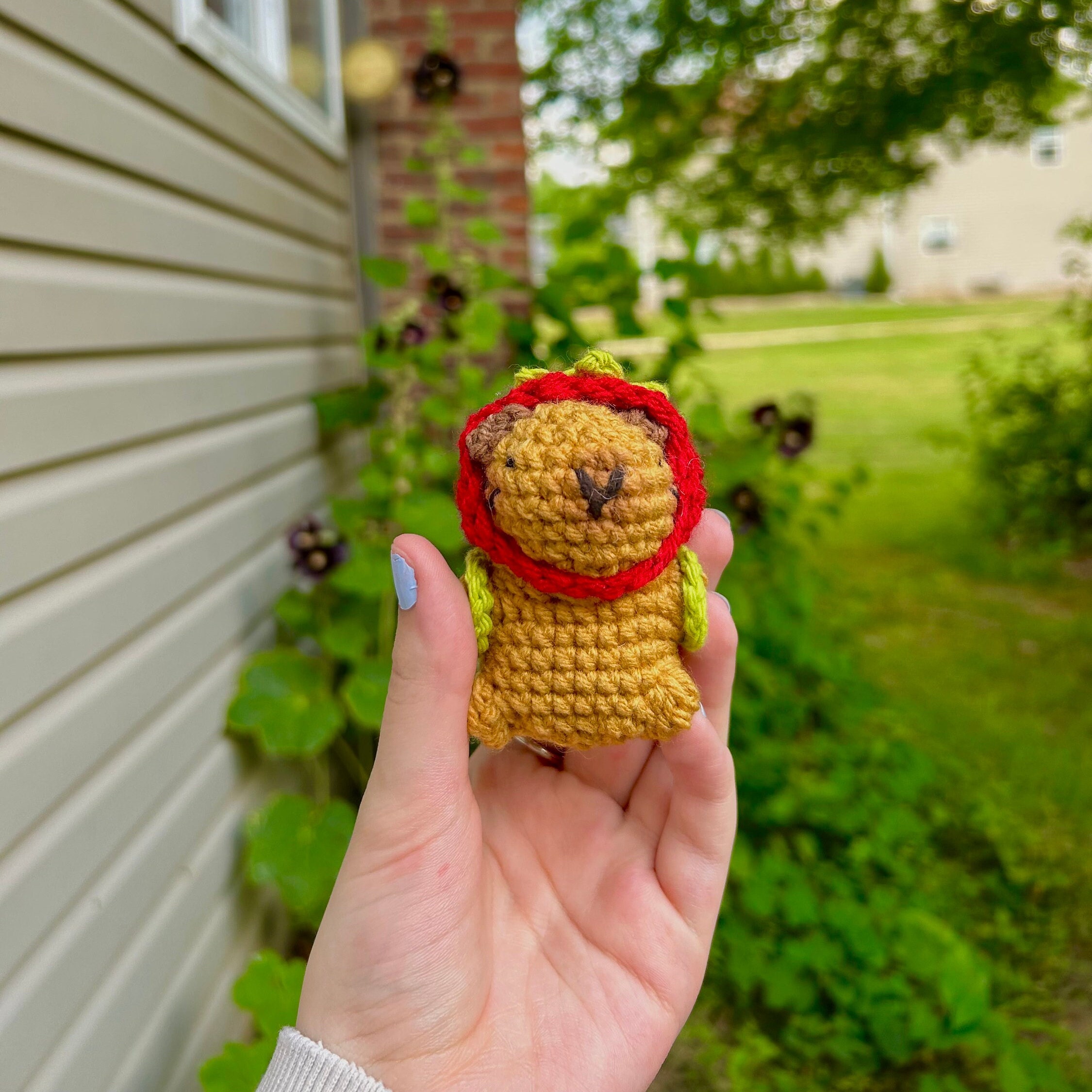 Crochet Strawberry Capybara - Etsy