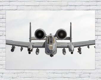 A 10 Warthog Art - Etsy