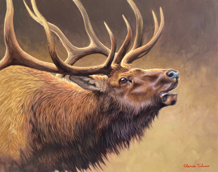 Elk Painting - Etsy