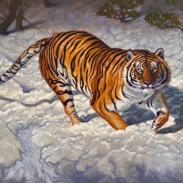 Siberian Tiger Art - Etsy