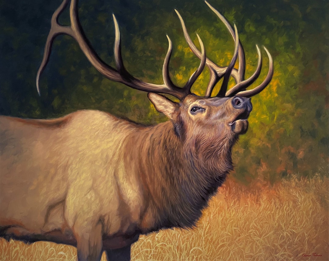 Bull Elk Original Oil Painting Bull Elk Western Artwork - Etsy