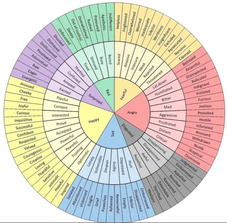 DBT Emotional Wheel Therapy Pillow - Etsy