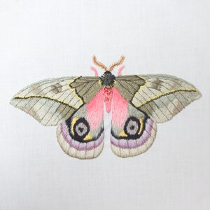 Automeris Frankae Embroidery, Moth Art Decor, Gift for Nature Lovers - Etsy