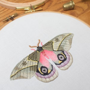 Automeris Frankae Embroidery, Moth Art Decor, Gift for Nature Lovers - Etsy