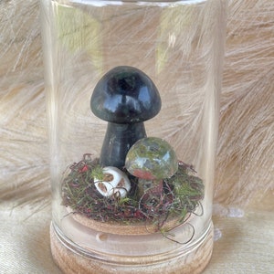 Crystal and Dragon Terrariums Enchanted Terrariums Dragons - Etsy