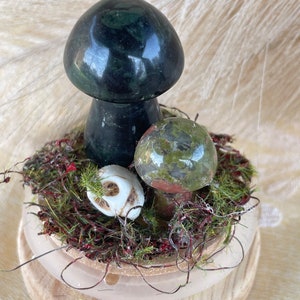 Crystal and Dragon Terrariums Enchanted Terrariums Dragons - Etsy