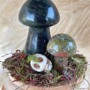 Crystal and Dragon Terrariums Enchanted Terrariums Dragons - Etsy