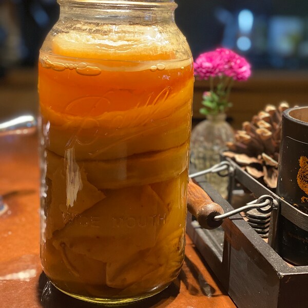 Scoby - Etsy