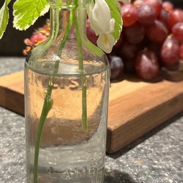 Listerine Bottle - Etsy