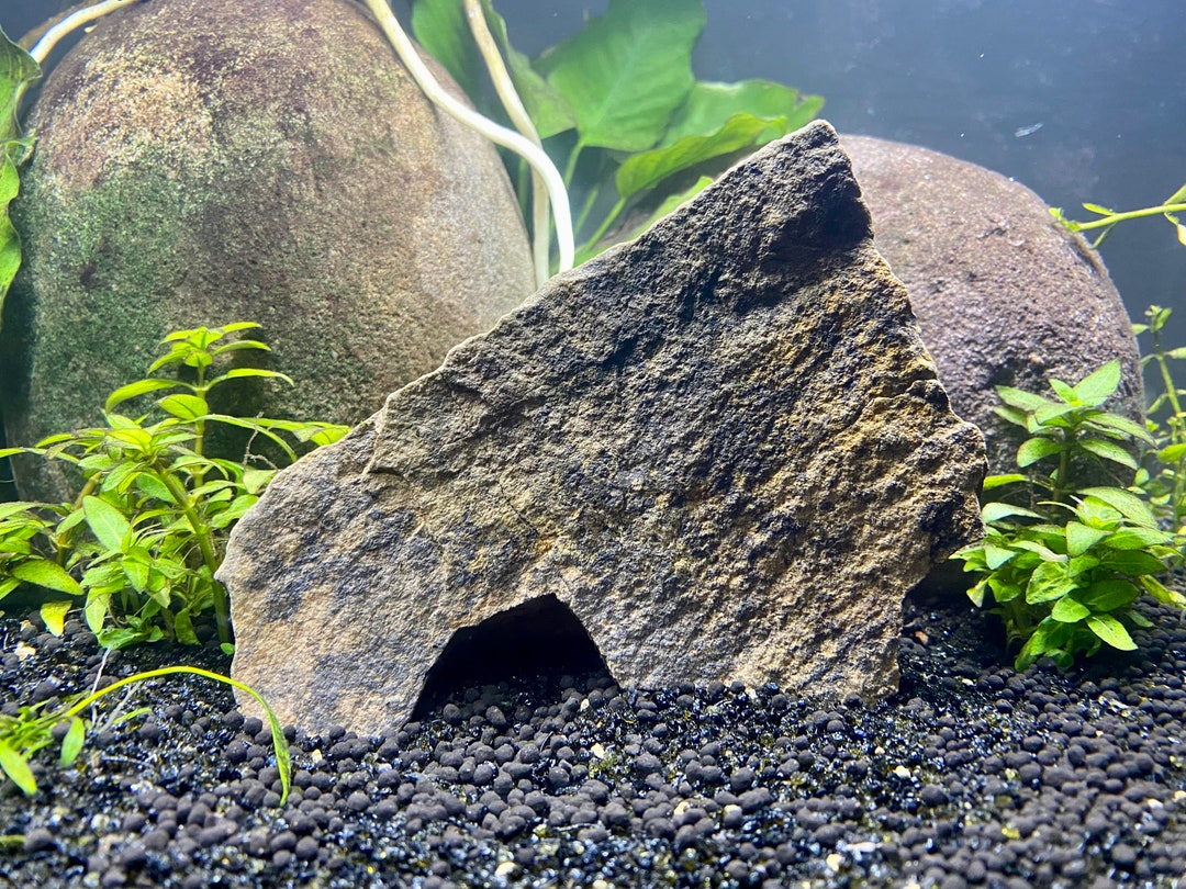 Fish Tank Rock With Hole Hideout - Etsy
