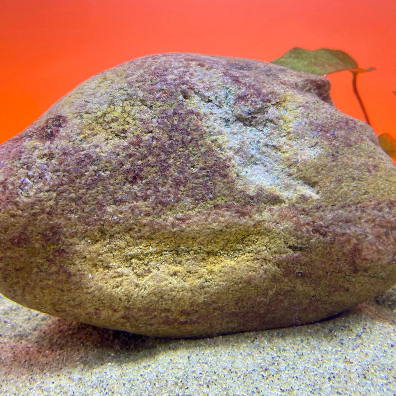 Natural Aquarium Rock Decor - Etsy