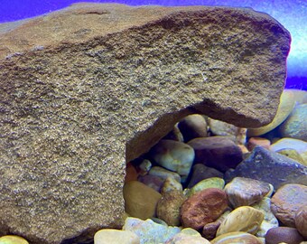 Fish Cave Natural Rock Hideout - Etsy